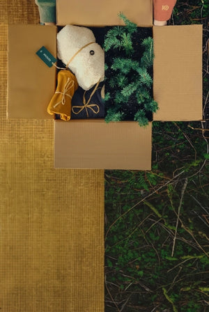 Sustainable Clothing by tentree® | Shop Organic + Plant Trees