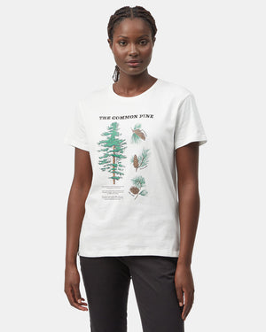 Womens Common Pine T-Shirt | Organic Cotton Jersey